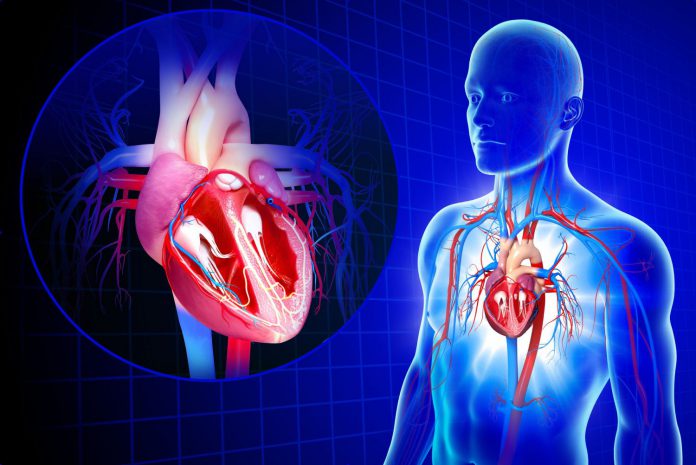 Discutirán últimos avances en medicina cardiovascular en Caracas - El ...