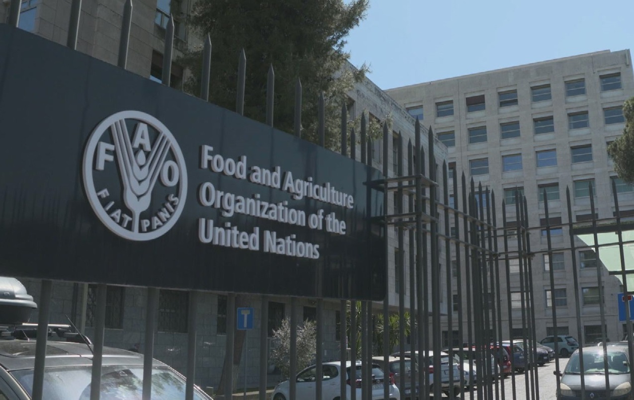 Programa Mundial de Alimentos aprueba plan 2023-2025 para Venezuela por ...