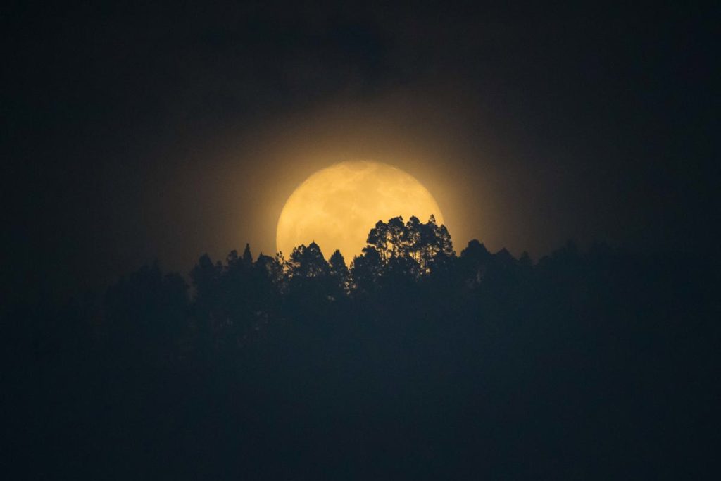 Hallan olivino en roca lunar que ofrece pistas del origen de la Luna