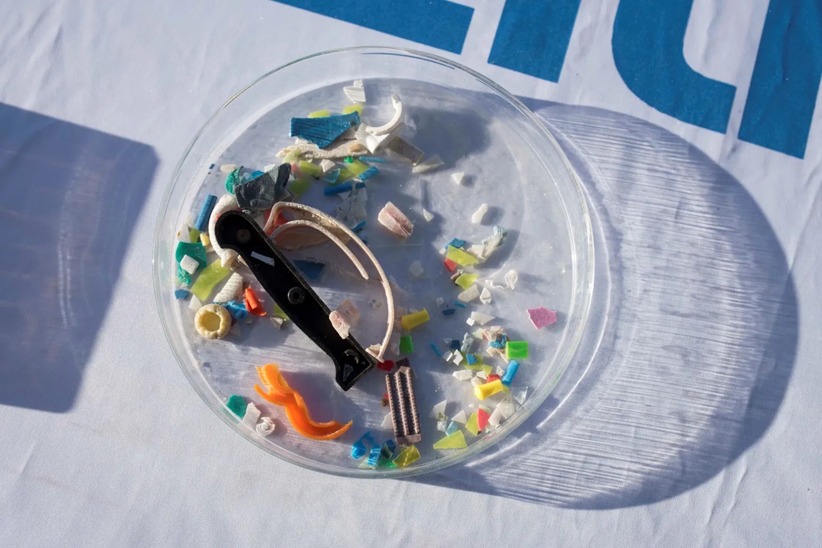 Un chicle que degrada microplásticos y evita su acumulación en el organismo